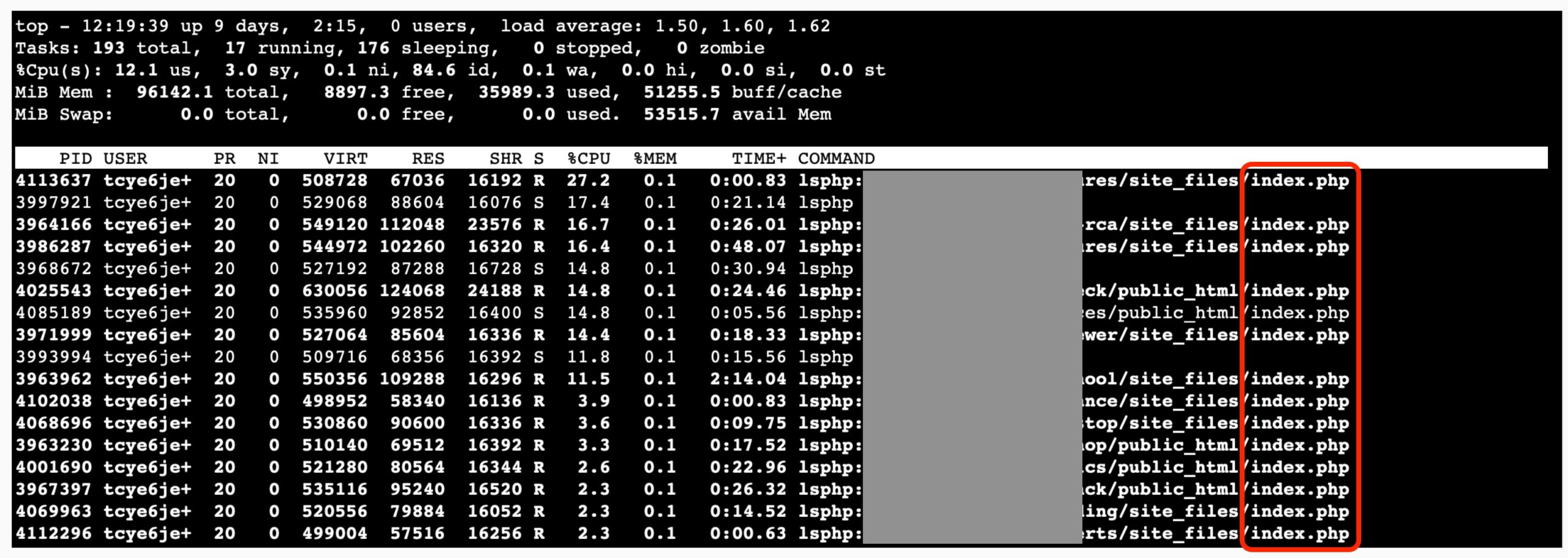 What's Causing Maxed Processes and 100% Ram Usage in cPanel with WordPress - Wally David